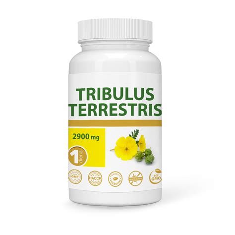 Tribulus Terrestris Kapsulas Vissveselibailv