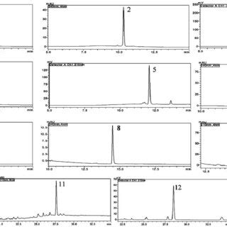 HPLC PDA Chromatogram Of Reference Compounds 1 13 In Optimized