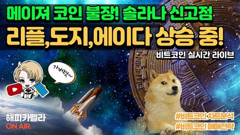 비트코인 실시간 리플도지에이다 상승 중 메이져 불장 솔라나신고점 1122 점심💎비트코인 비트코인실시간 이더리움 리플 Cryptocurrency 차트