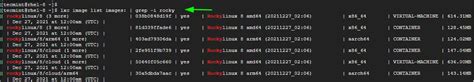 Install Lxc Linux Containers In Rhel Rocky And Almalinux