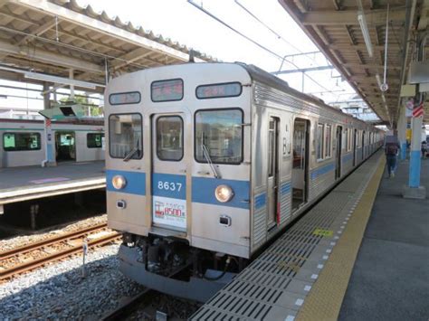 東急8500系：8637編成「bunkamura号」：2022930 ピーナッツの旅行記録