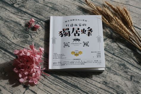 打造我家的獨居蜂旅館城市養蜂是Bee要的 豆芽飛舞