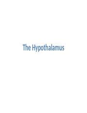 Introduction To The Hypothalamus Functions Structures And Course Hero