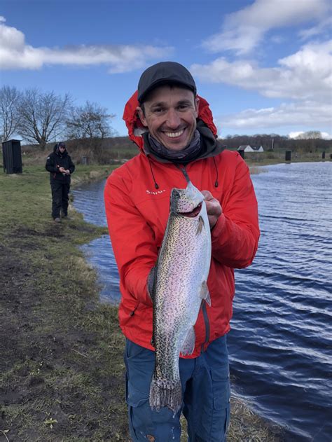 Forellenangeln in Dänemark mit Spoon Gummi und Fliege Anglerboard