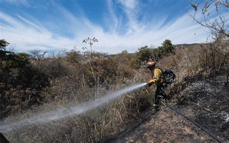 Cómo Y Dónde Denunciar Un Incendio Forestal En Jalisco Telediario México