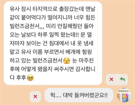 손석손 on Twitter 푸슝으로 제보 온 유사 출장 갔는데 몰래 베개에 험핑하면서 유사 이름 부르는 범도 빌런즈 금천서