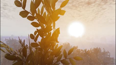 Путеводитель по деревьям 1 выпуск как забраться на Совиное дерево Коты Воители в Роблокс