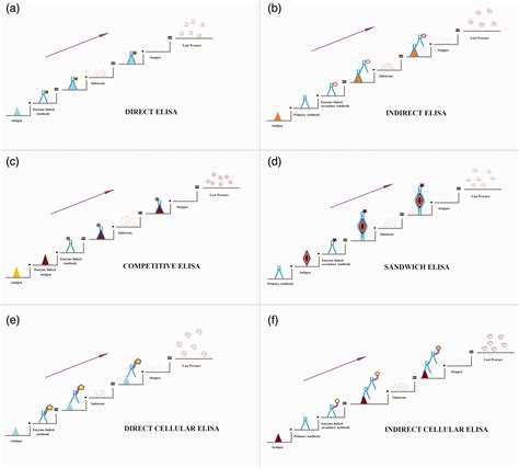 An Overview Of Elisa A Review And Update On Best Laboratory Practices