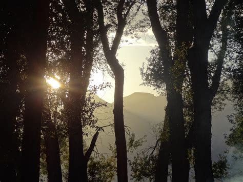 Luz Sol Bosque Foto Gratis En Pixabay Pixabay