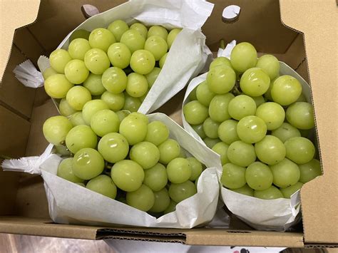 Yahooオークション 福岡県産シャインマスカット秀品3房約2㎏以上甘