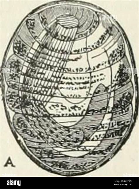 The Encyclopædia britannica a dictionary of arts sciences