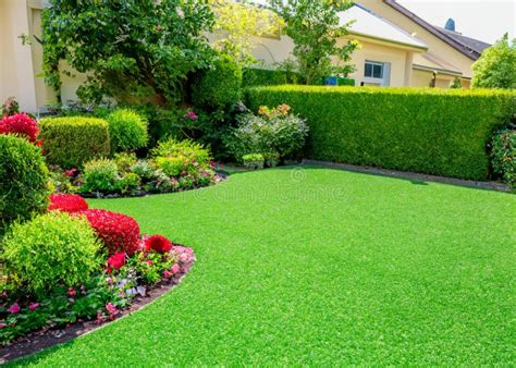 Nice And Clear Garden With Grass Ai Stock Illustration Illustration