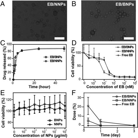 The Enhanced Permeation And Retention EPR Effect A Schematic Download Scientific Diagram