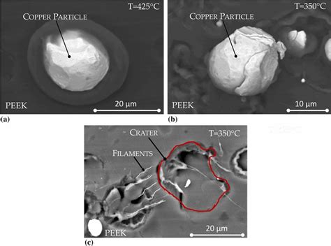 Sem Images Showing Copper Particles Cold Sprayed Onto Peek At A 425 °c Download Scientific