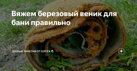Вяжем березовый веник для бани правильно Дачные заметки от Сергея 🌏 Дзен
