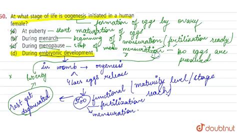 At What Stage Of Life Is Oogenesis Initiated In A Human Female