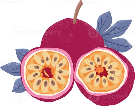 Passion Fruit Elements 46434792 Png