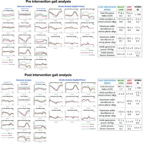 Example Of The Kinematic And Kinetic Analysis Graphs And The Values Download Scientific Diagram