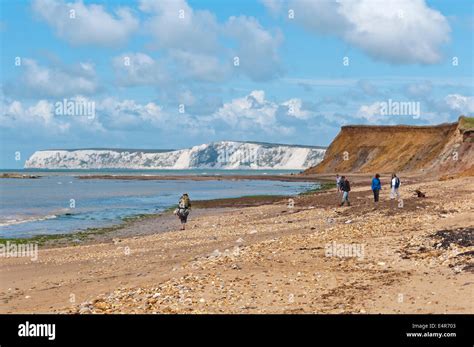 Fossil Hunters On The Beach At Brook Bay On The Isle Of Wight Stock