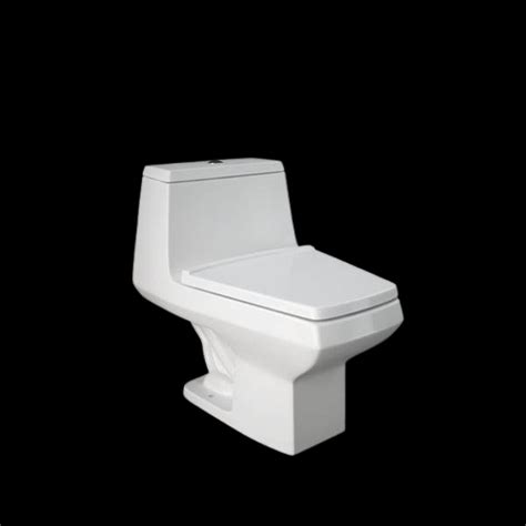 High Commode Water Closet Toilet Rak Star Galaxy Water Closet