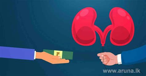 වකුගඩු ජාවාරමක තොරතුරු හෙළිවෙයි අරුණ