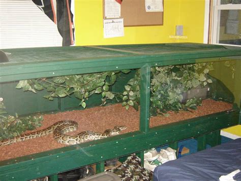 Diy Carpet Python Enclosure Carpet Vidalondon