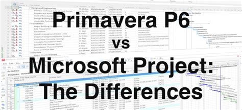 Primavera P6 Vs Microsoft Project The Differences Ten Six Consulting