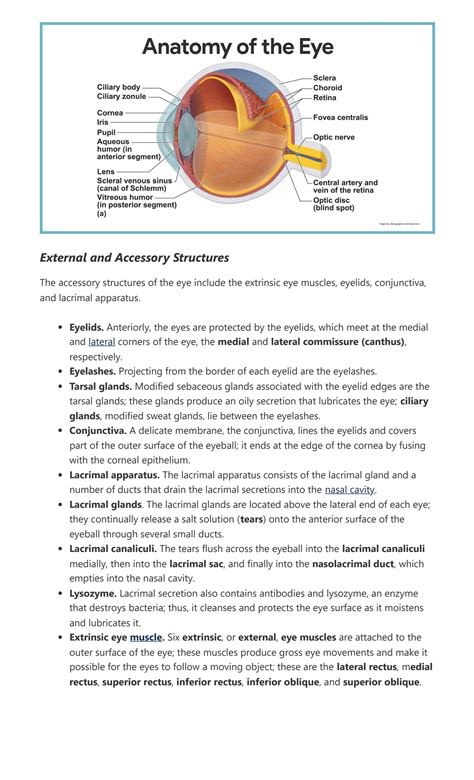 Solution Special Senses Anatomy And Physiology Nurseslabs Studypool