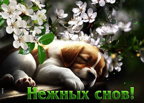 Очаровательная и уютная гиф открытка Нежных снов Скачать бесплатно на