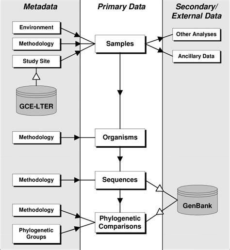 Conceptual Diagram Of The Sapelo Island Microbial Observatory 16s Rrna