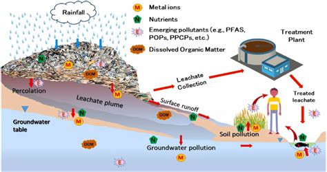 Schematic Representation Of Transport And Fate Of Contaminants Of Download Scientific Diagram