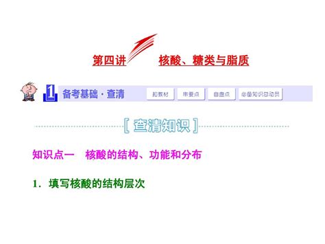 2015届《三维设计》高考生物一轮精品课件：114核酸、糖类与脂质word文档在线阅读与下载无忧文档