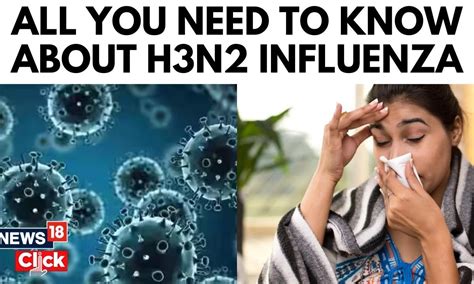 H3n2 Influenza Virus News All You Need To Know About Seasonal