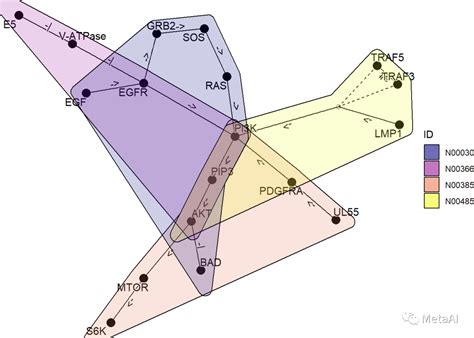 Ggkegg：利用图形语法对kegg数据进行分析和可视化 Csdn博客
