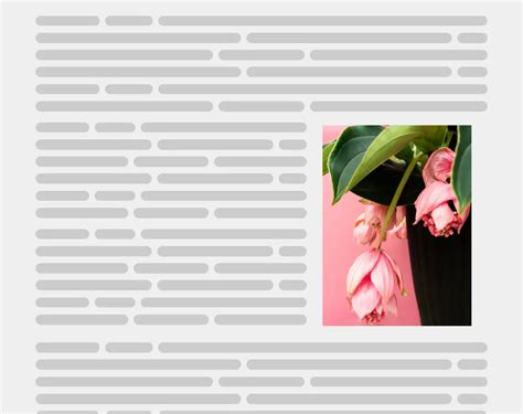 Medium Style Image Zoom Animation Zoomableimage Css Script