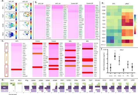 Defining The Rna Transcriptome Of Expanded Cd8 Populations In Aitl A
