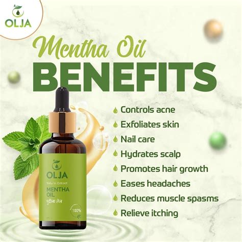 Mentha Essential Oil Olja Essentials