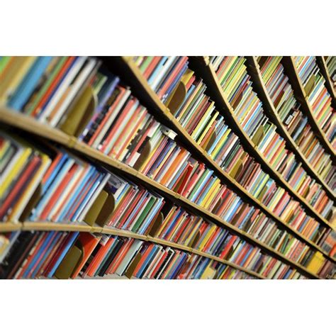 What Is The Difference Between Classification And Taxonomy Synonym