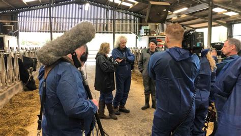 Brian May ‘badgers Are Irrelevant In Cattle Tb Spread Farmers Weekly