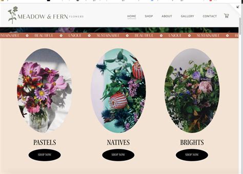 How To Add A Border Around An Image Shape Code Blocks Squarespace Forum
