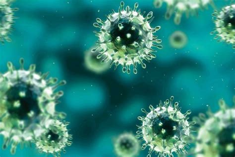 Fear Of Germs Mysophobia Signs Causes Consequences Treatment