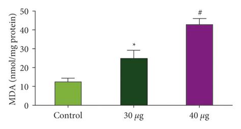 Antioxidant Enzymes Sod Cat Gsh And Mda Were Persuaded By Ctcanc In