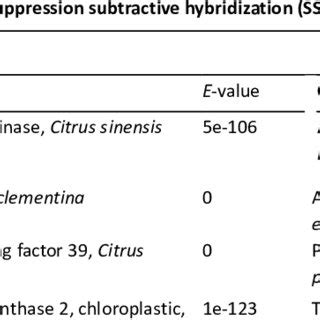 Functional Grouping And Expression Analysis Of 56 Salinity Induced