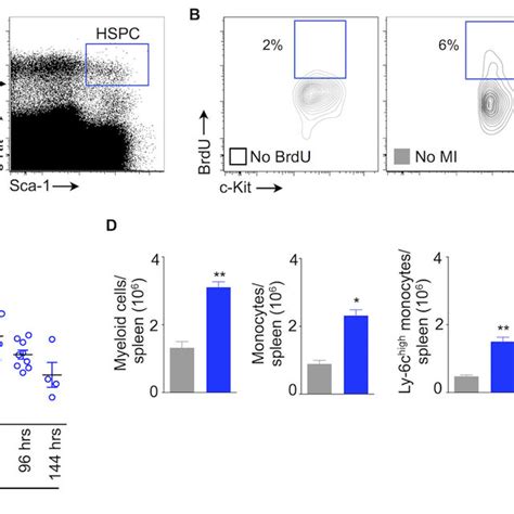 Mi Triggers Splenic Hspc Proliferation A Flow Cytometry Gating
