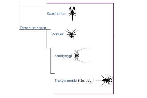 Hello Again Still Greatly Enjoying The Critter