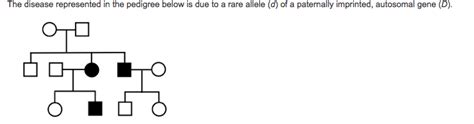 Solved What Is The Genotype Of Individual I 1 Ii 3 And