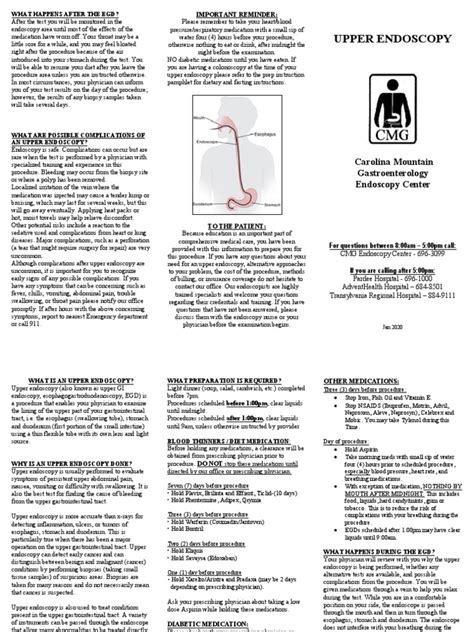 Upper Endoscopy Comp Pdf Endoscopy Biopsy