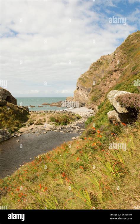 Sea Hills And Beach At Heddons Mouth Heddon Valley River Heddon