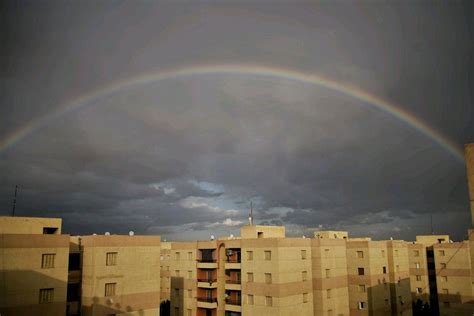 Sayed Hassan On Linkedin Egypt