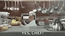 Chef S Tenor